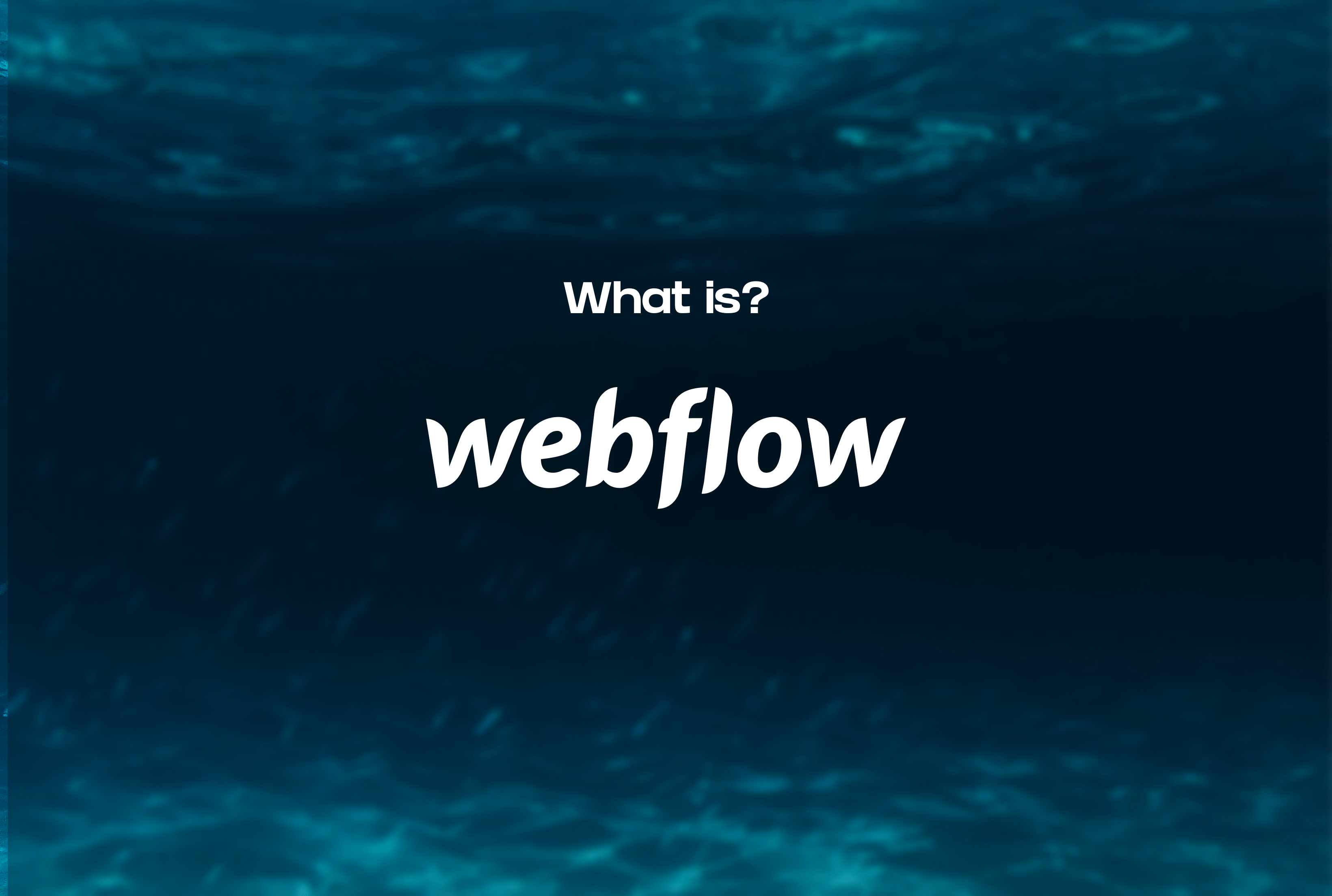 What is Webflow? │ Rimbo Designs